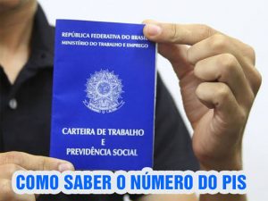 Veja aqui como descobrir o número do seu PIS pelo CPF